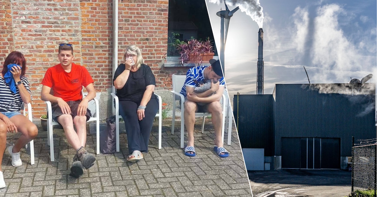 “Deze stank is niet te harden”: geur van pluimenverwerker Empro tot ver ...