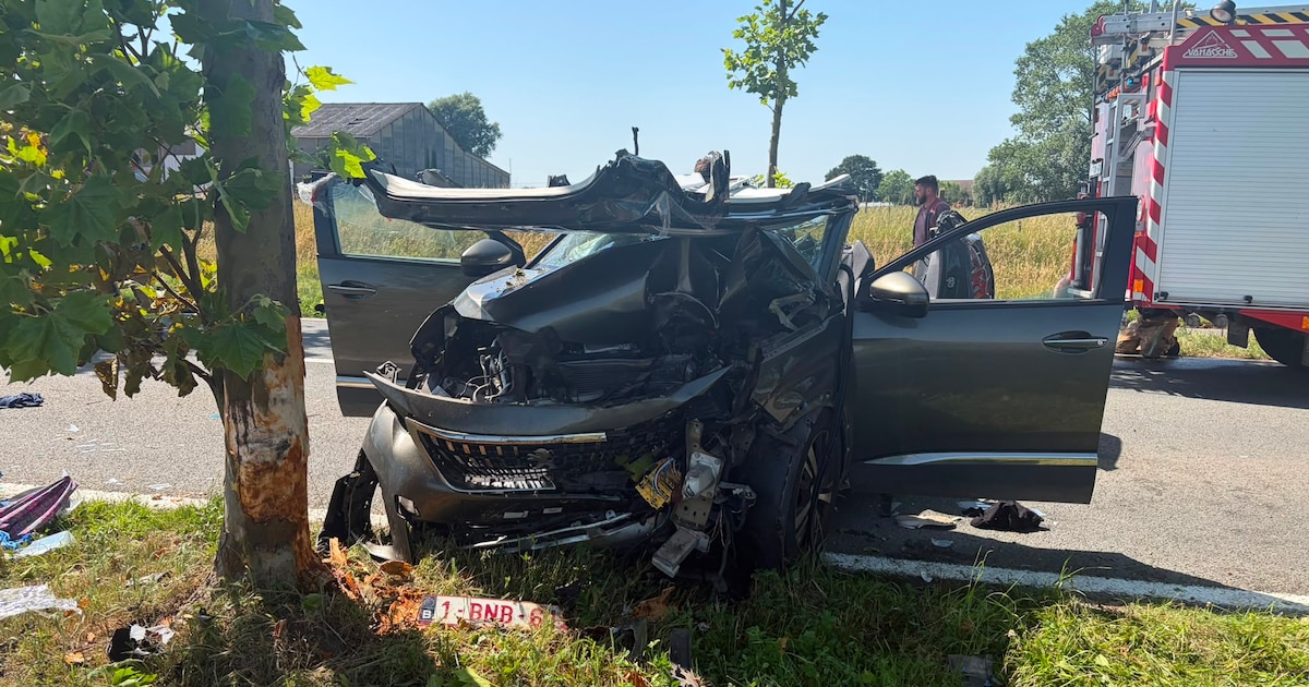 Vrouw zwaargewond na botsing met auto tegen boom in Heuvelland | Regio ...