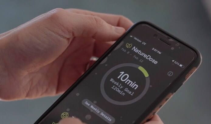 Met deze 5 apps loop je nooit meer verloren en herken je ieder plant en ...