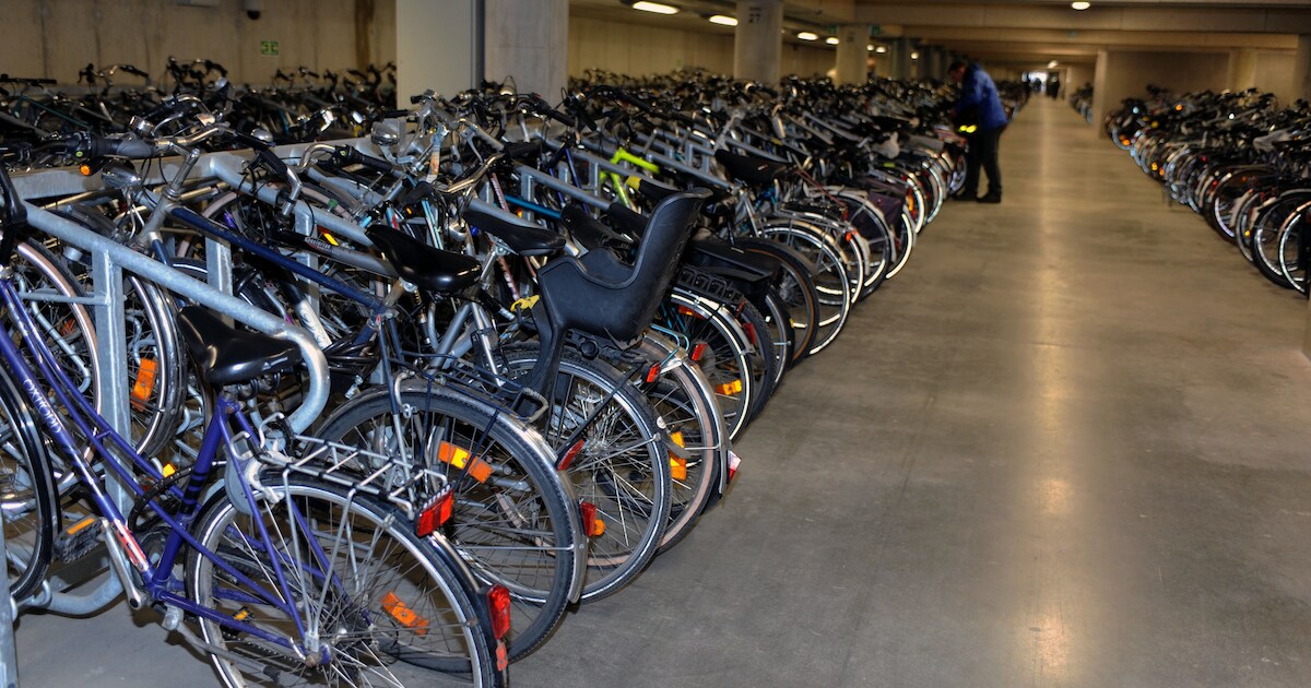 Twee fietsdieven op heterdaad betrapt aan het station | Leuven | hln.be