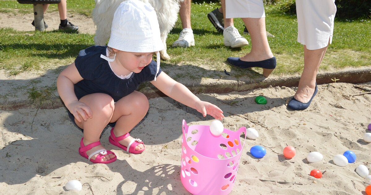 Basisschool De Klim-Op organiseert ontbijt met paaseierenraap | Zwevegem | HLN.be