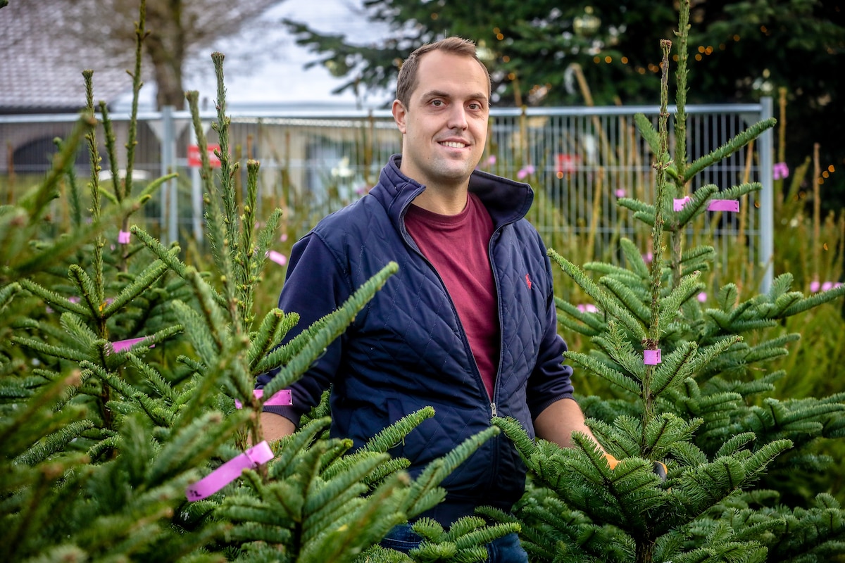 Sebastiaan (30) verkoopt kerstbomen als zoete broodjes in Oudenburg ...