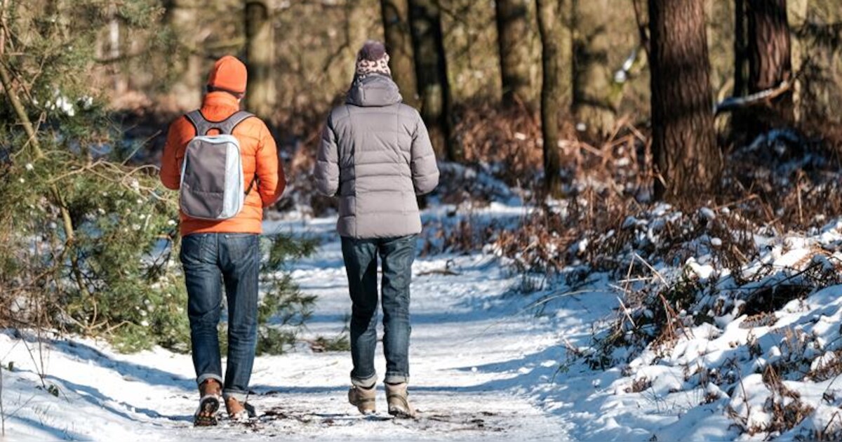 Neteland organiseert Winterwandelingen in vijf Netelandgemeenten ...