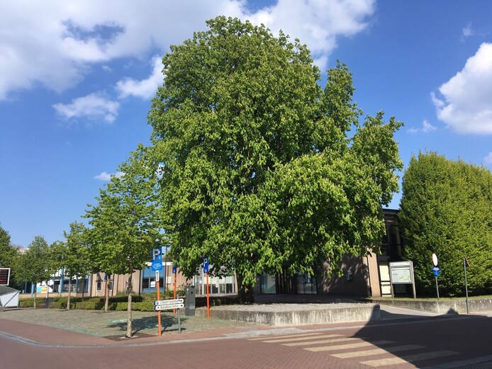 Vosselaar zet lokale klimaatdoelstellingen op punt: “Het voornemen is ...