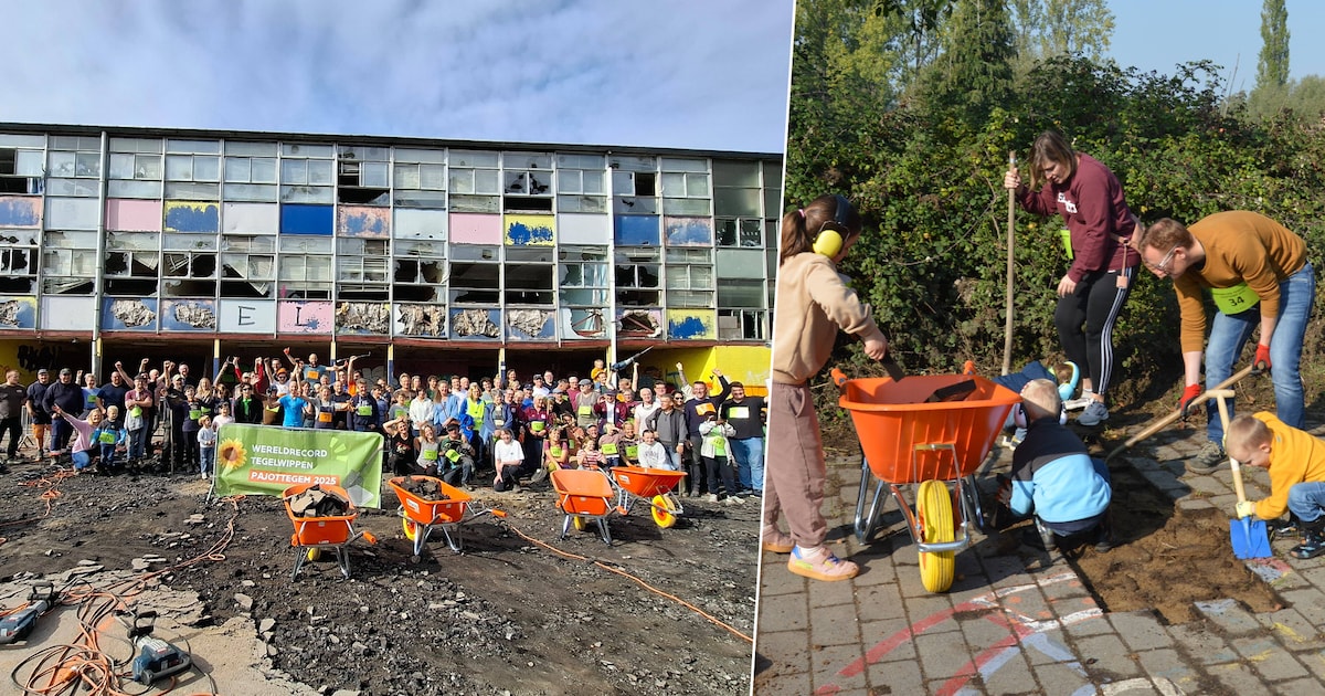 Pajottegem vestigt record ‘tegelwippen’ met 5.720 gewipte tegels ...