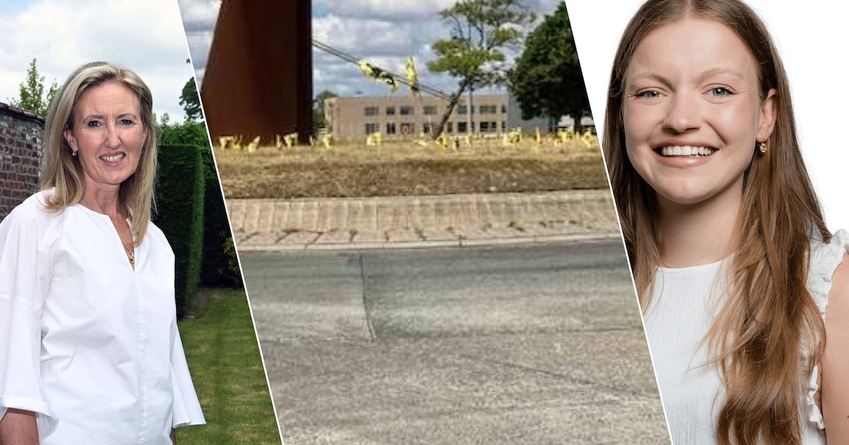 Ludieke vlaggenactie voor Vlaamse feestdag krijgt politie(k) staartje ...