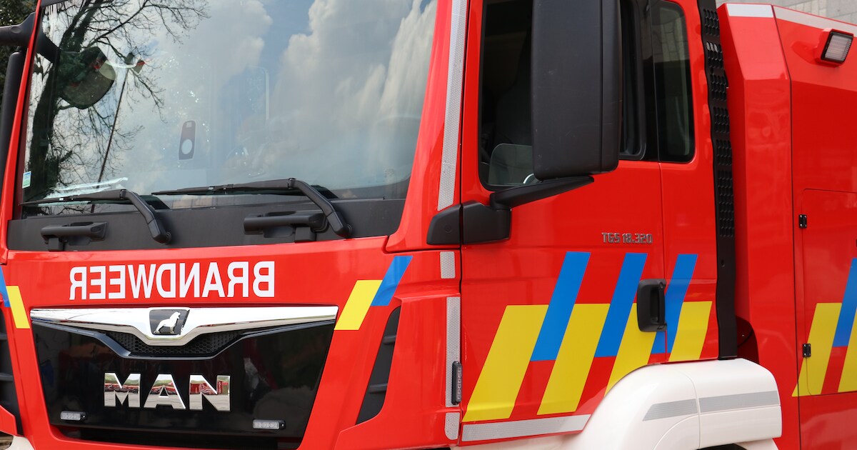 Brandweer uitgerukt voor bosbrand in Hasselt | Hasselt | HLN.be