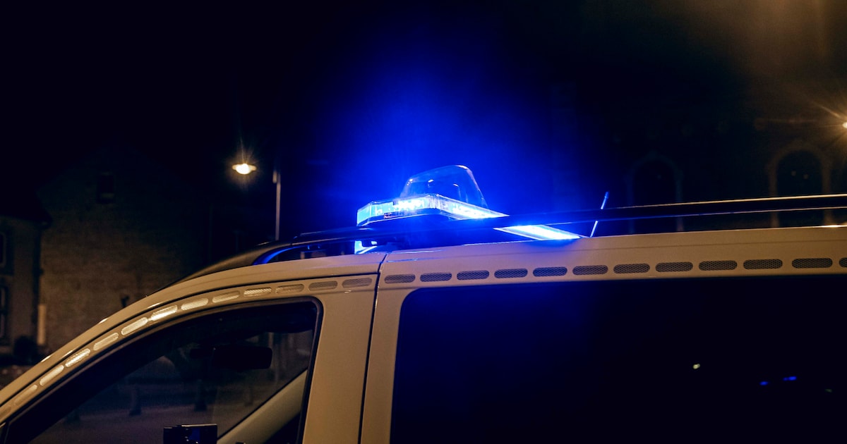 Auto botst tegen boom in Lommel | Regio | HLN.be