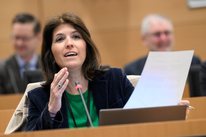 Hervorming werkloosheidsstelsel op de helling? Procedure voor Brussels ...