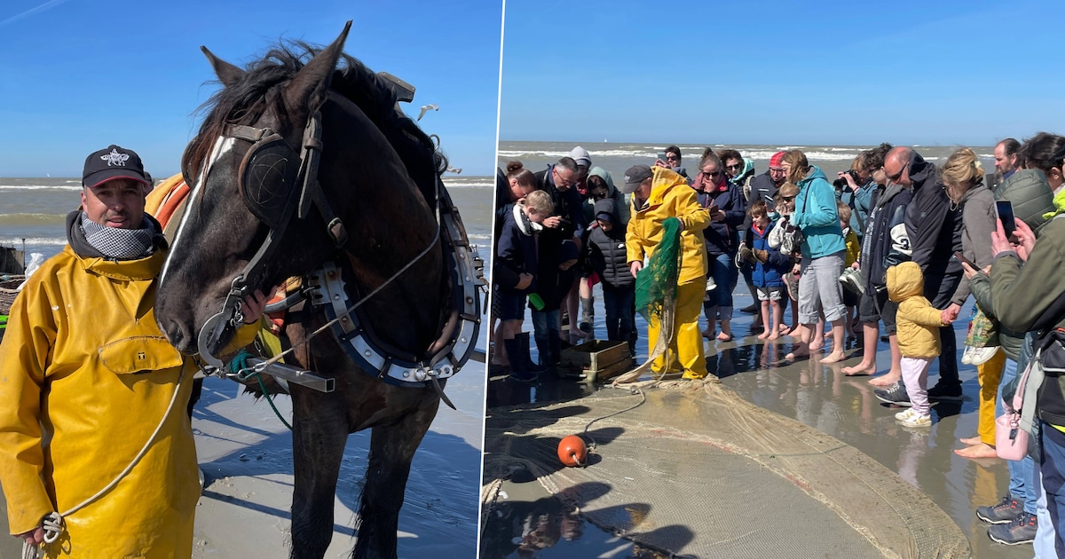 Ronde van Vlaanderen op tv, maar toch komen honderden mensen kijken ...