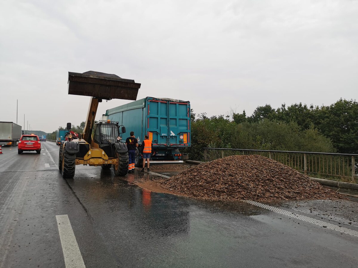 Vrachtwagen verliest deel van lading lijnzaadkorrels op E17: moeilijke ...