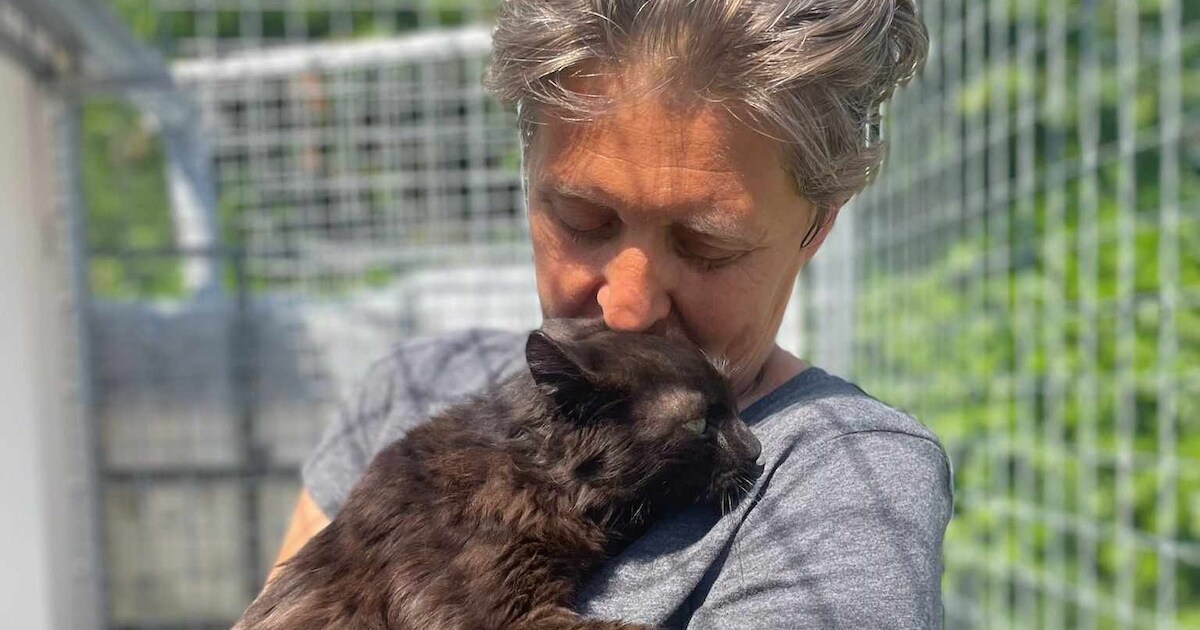 Oprichtster kattenasiel ligt in ziekenhuis nadat ze overstelpt wordt ...