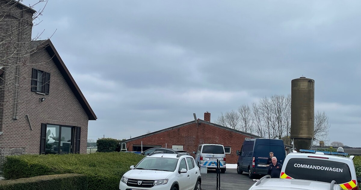 Huurder aangehouden na vondst drugslabo in Meulebeke | Meulebeke | HLN.be