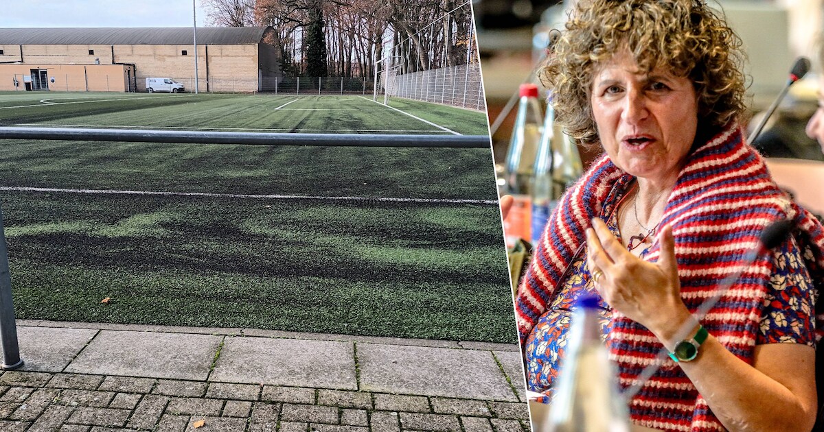 Na kritiek van Groen: infoborden over mogelijke rubberallergie aan ...