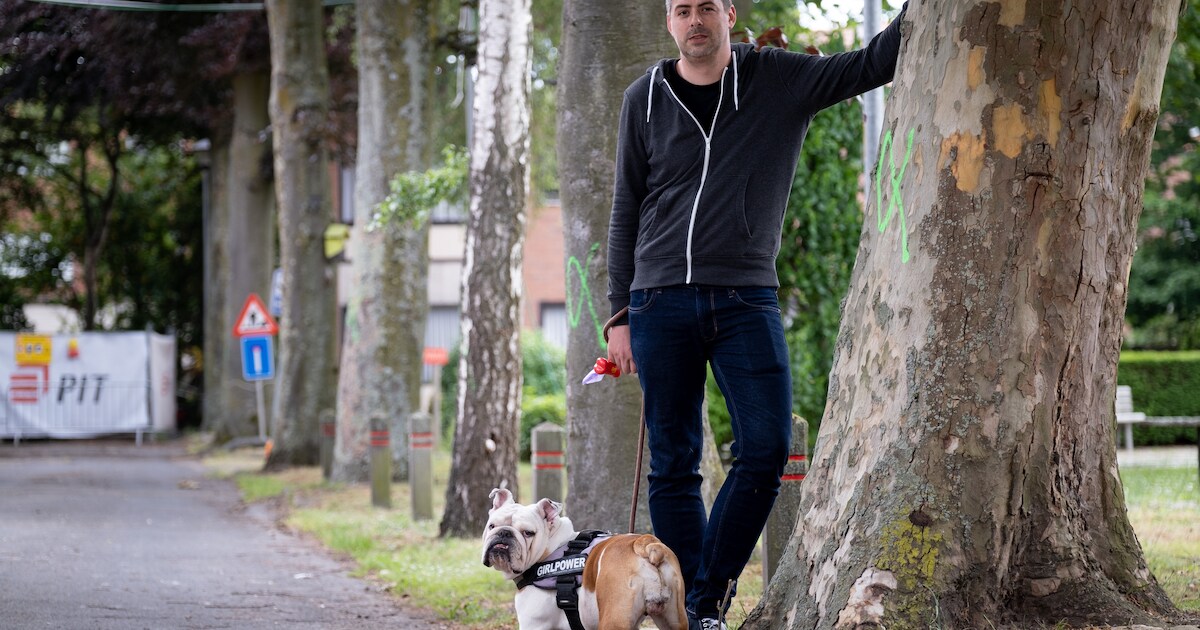 Petitie kaart kaalslag aan: “Stop met het kappen van gezonde bomen ...