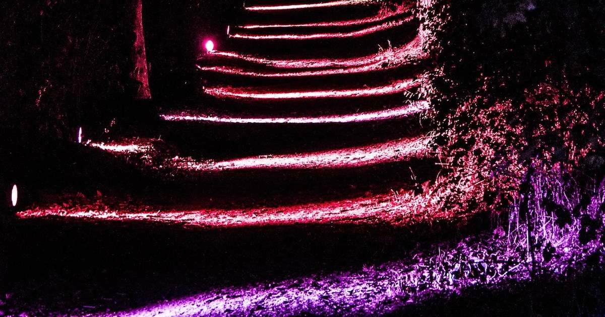 Drie avonden wandelen door Everberg dankzij Kortenberg Straalt ...