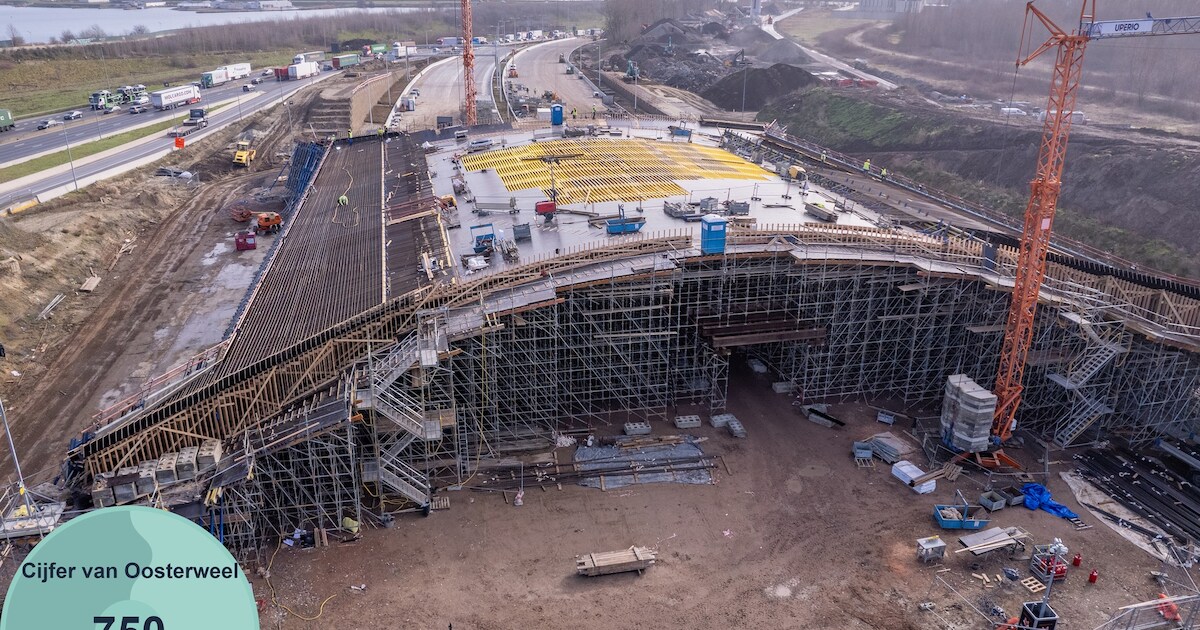 Bouw van monumentale parkbrug in eindfase: “Dit is uniek staaltje ...