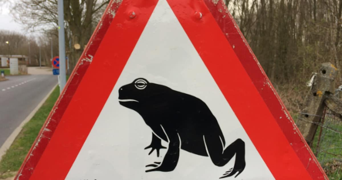 "Jaarlijks sterven in Vlaanderen 5 miljoen dieren in het verkeer ...