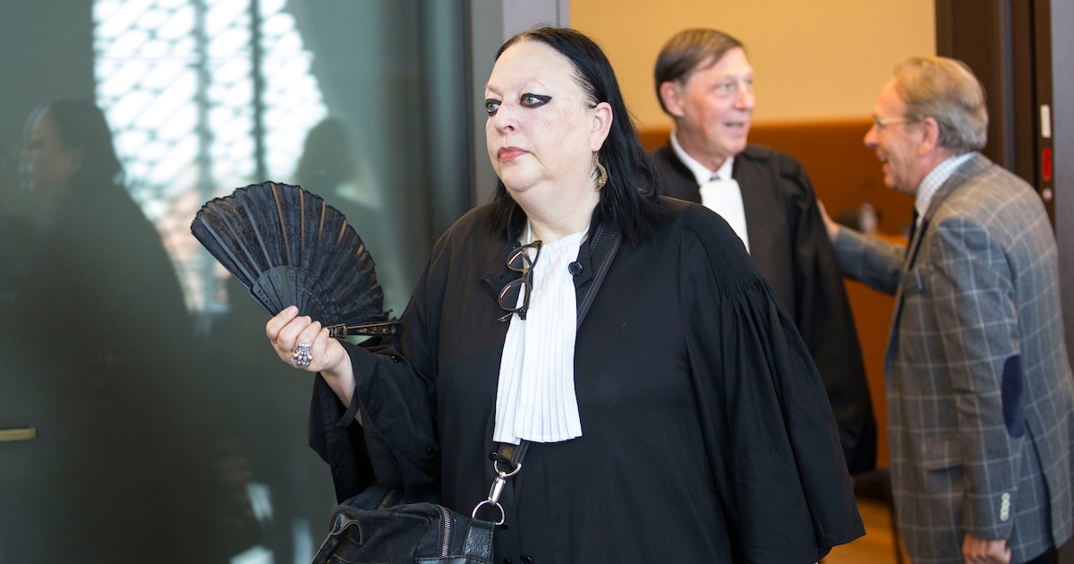 Verbazing en geschokte reacties in Nederlandse kranten na arrestatie ...
