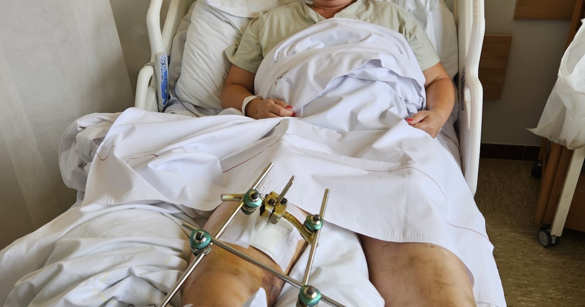 Lebbeeks politica komt zwaar ten val op weekend in Ardennen: “Gebroken ...