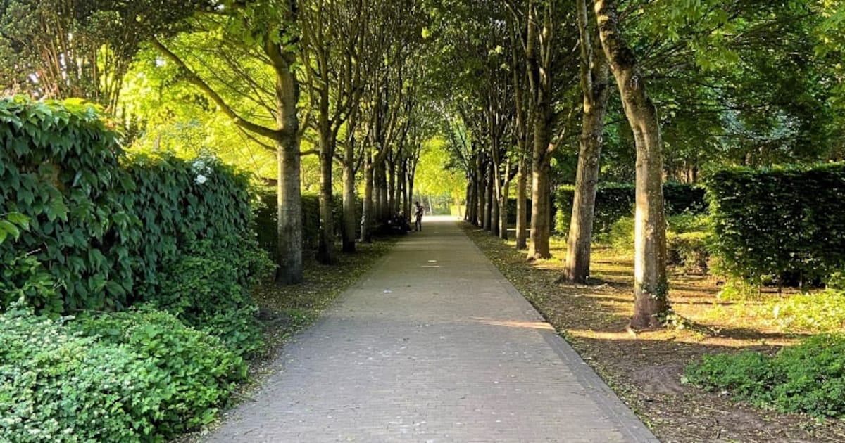 Stad Geel sluit 37 openbare plaatsen door storm Benjamin | Geel | HLN.be