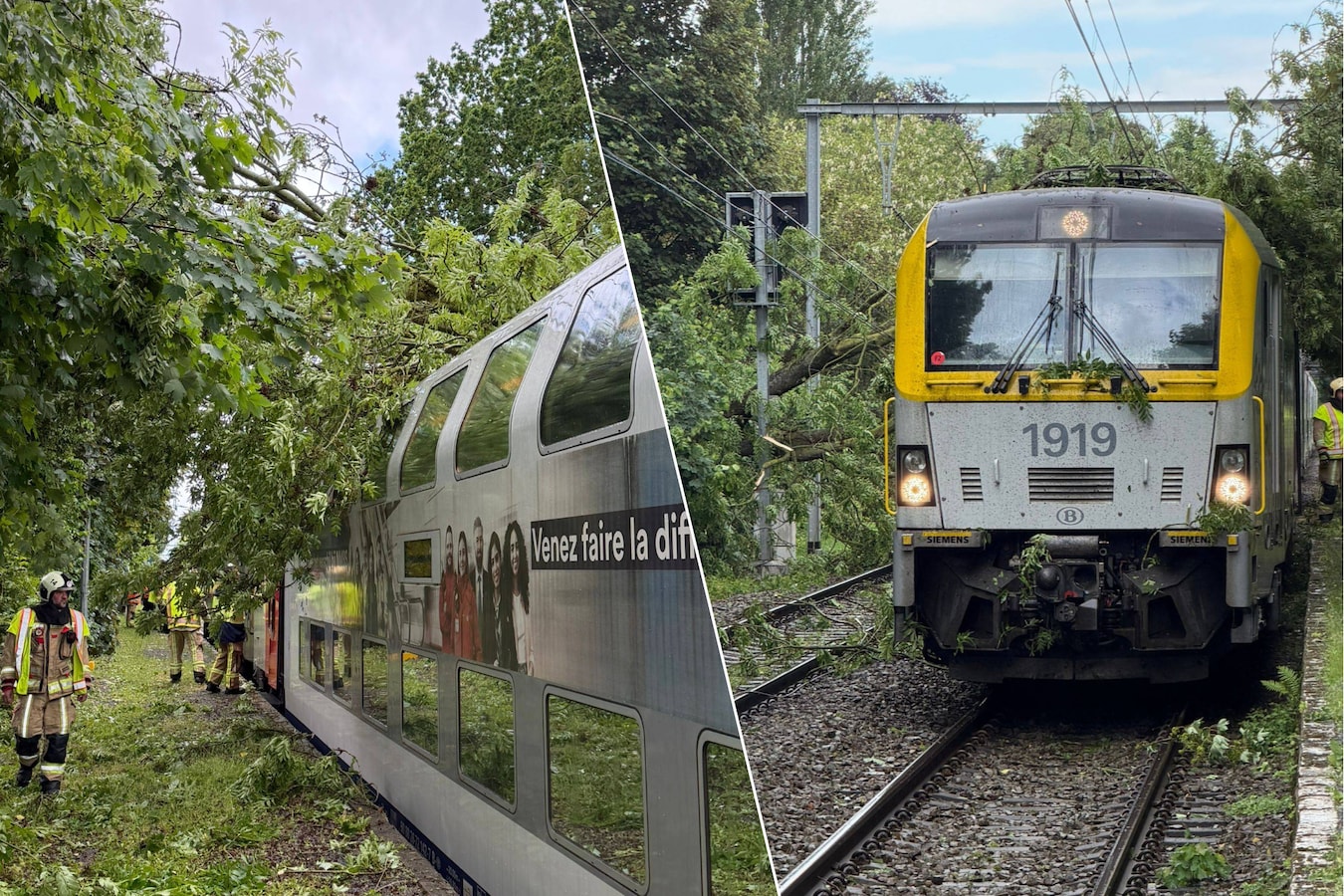 Boom valt op trein in Ukkel: treinverkeer stilgelegd, 490 reizigers ...