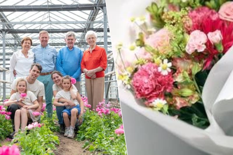 Zet je mama in de bloemetjes: 7 plantenwinkels in het Meetjesland en ...