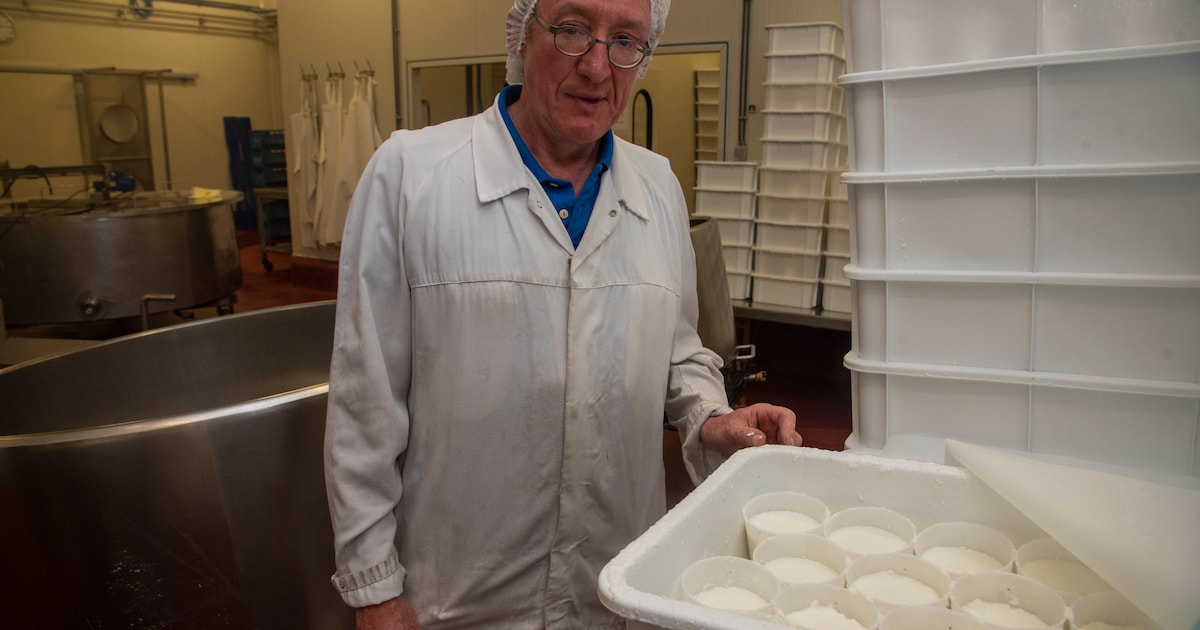 Geitenkaasbedrijf Le Larry vraagt faillissement aan: 26 jobs op de ...