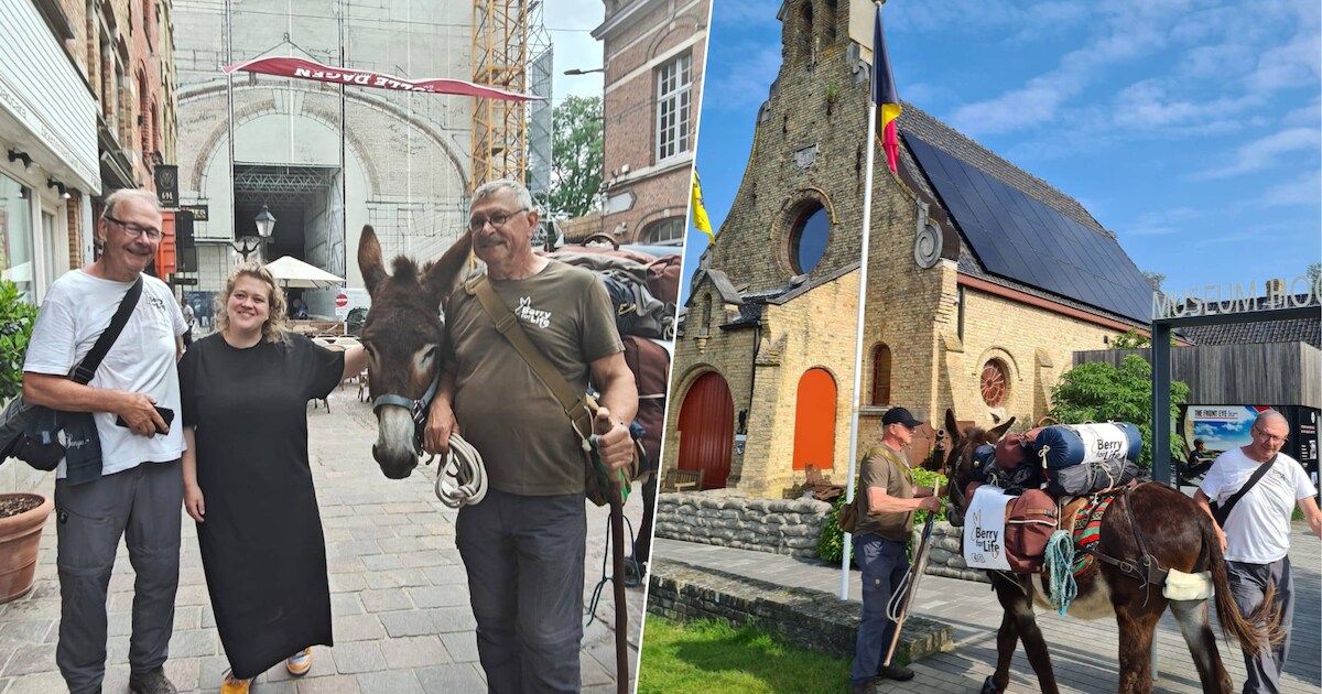 Met ezel Berry op doortocht in de Kattenstad: “Een koppig, maar heel ...
