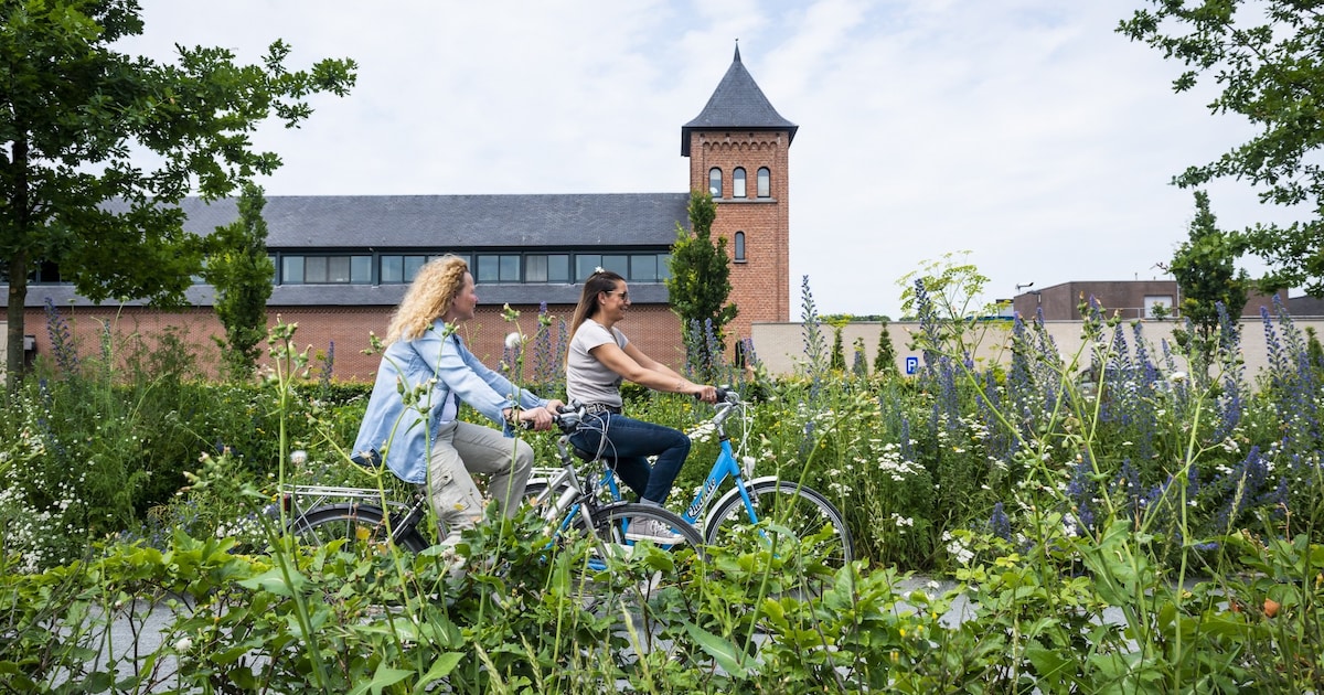 Wandelen met bolderkar vol trappist: unieke smultocht rond abdij van ...