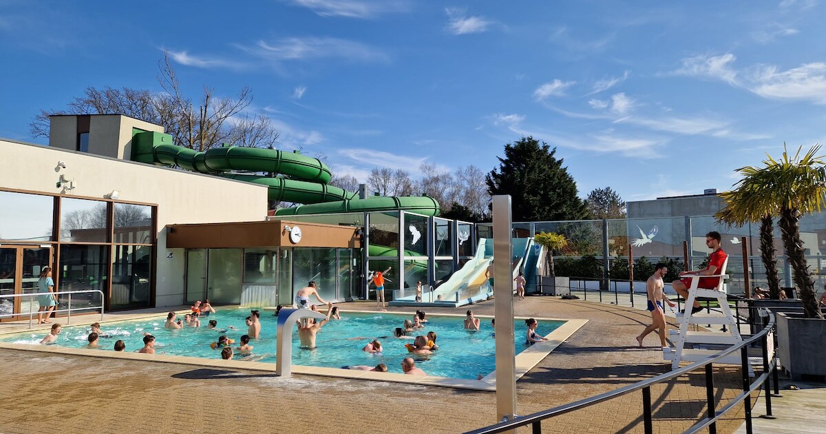 IN BEELD. Door zachte temperaturen nu al frisse duik mogelijk in ...