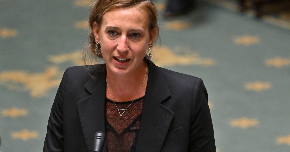 Ministerraad stemt in met benoeming Kattrin Jadin bij Grondwettelijk ...