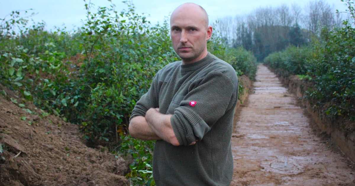 Archeologen rooien 40.000 beuken, boomkweker woedend | Aalst | HLN.be