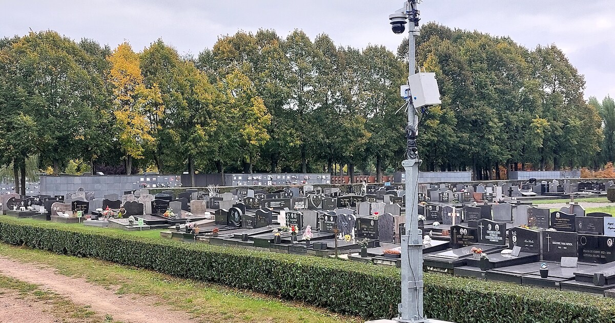 Na de dramatische kunstroof van vorig jaar: stad Mechelen plaatst trackers met gps-signaal op ...