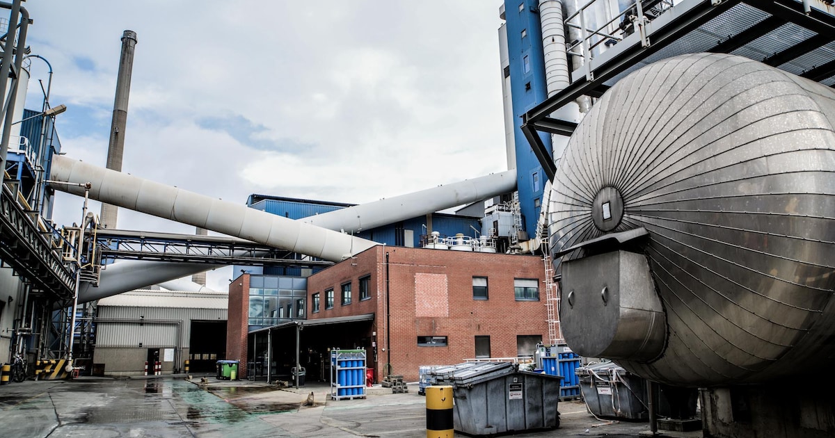 Umicore investeert in fabriek voor zeldzame metalen in Hoboken: “Plan ...