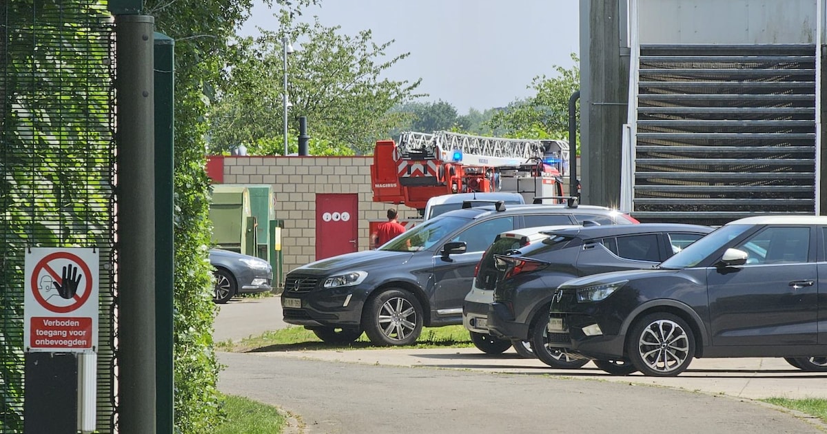 Kind (9) dat uit water gehaald werd in De Nekker in Mechelen nog altijd ...