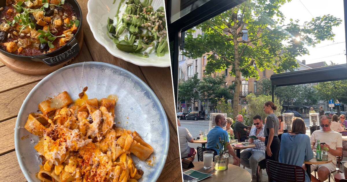 RESTOTIP. Cantine: fijne wijnbistro op het Zuid | Antwerpen | HLN.be