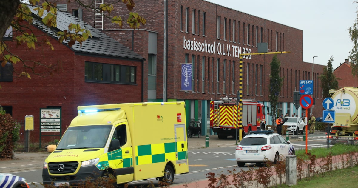 Defecte buis oorzaak van CO-vergiftiging bij basisschool OLV Ten Bos in ...
