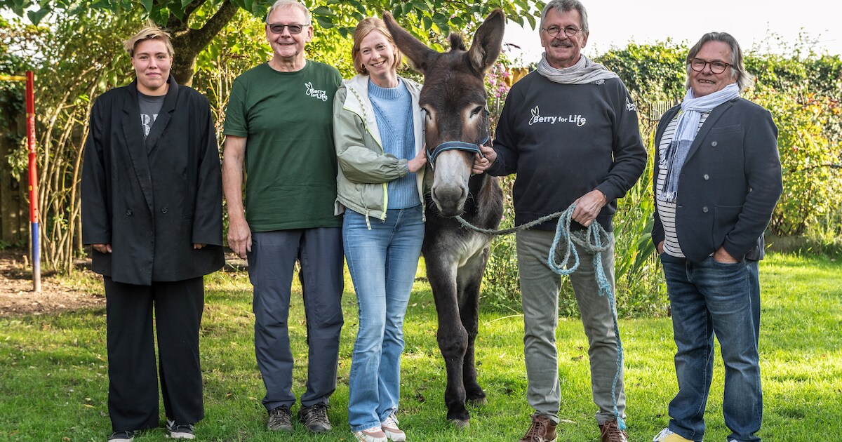 Beslis mee wie van deze drie de Roeselaarse Persprijs wint | Roeselare ...