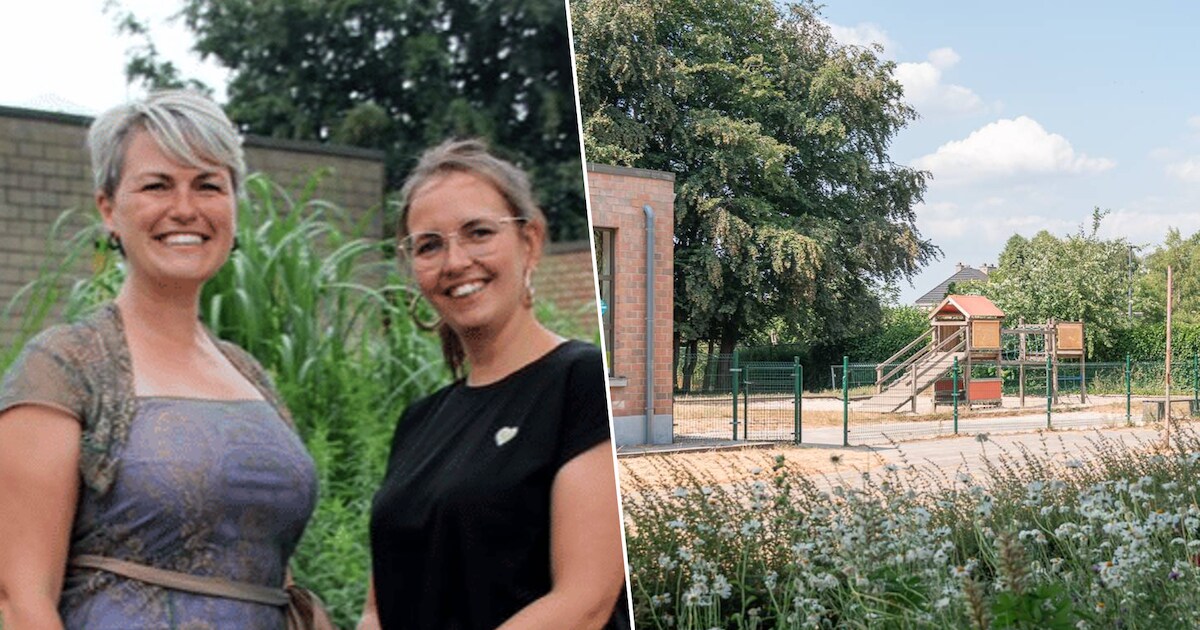 Gemeenteschool De Wissel bouwt nieuwe school op site van GO!-school De ...