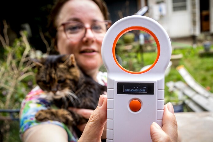 Is dit de oudste poes van het land? Isabelle uit Herzele is 24 jaar en ...