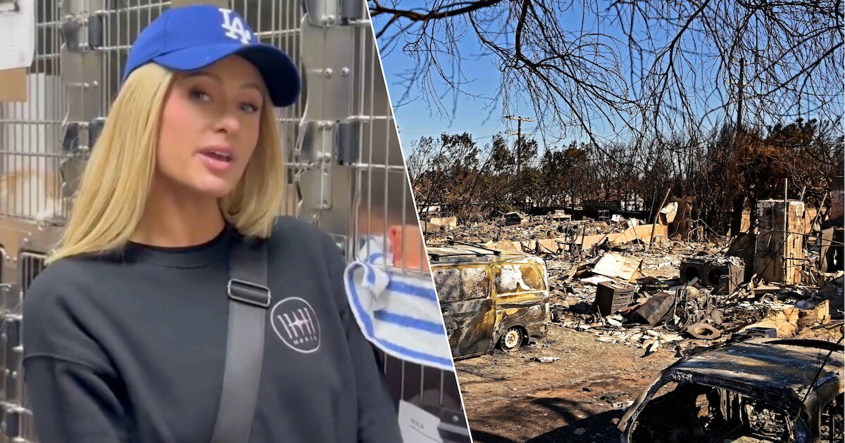 KIJK. Paris Hilton zet zich in als vrijwilliger in dierenasiel na zware ...