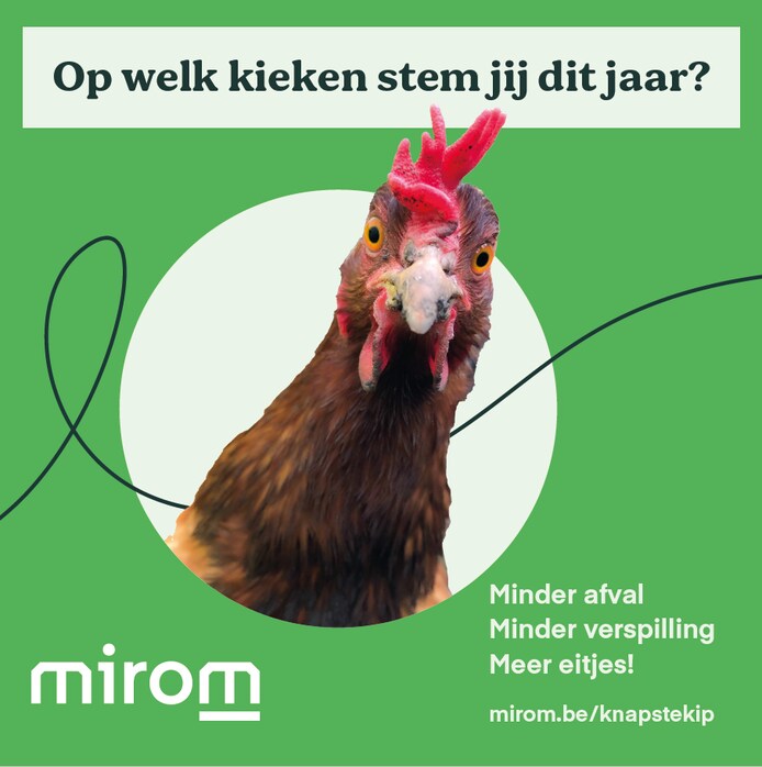 Mirom gaat opnieuw op zoek naar knapste kip | Roeselare | hln.be