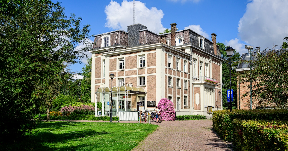 Lint zoekt nieuwe leden voor adviesraden | Lint | HLN.be