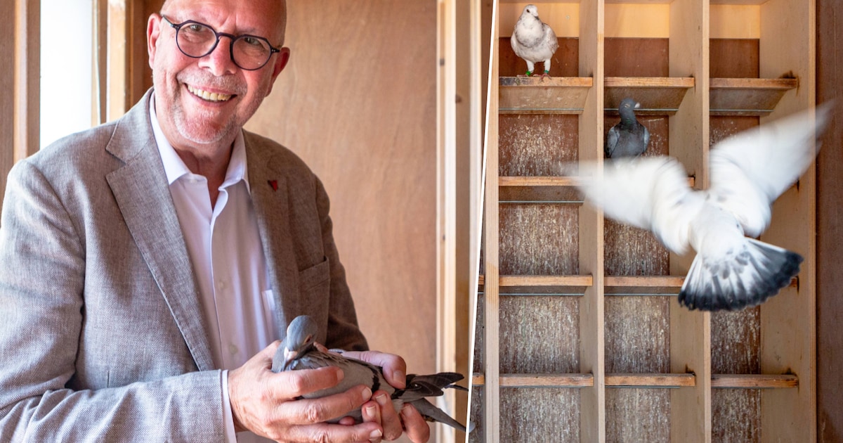 In deze school kweken ze... duivenmelkers: “De leerlingen voelen ...