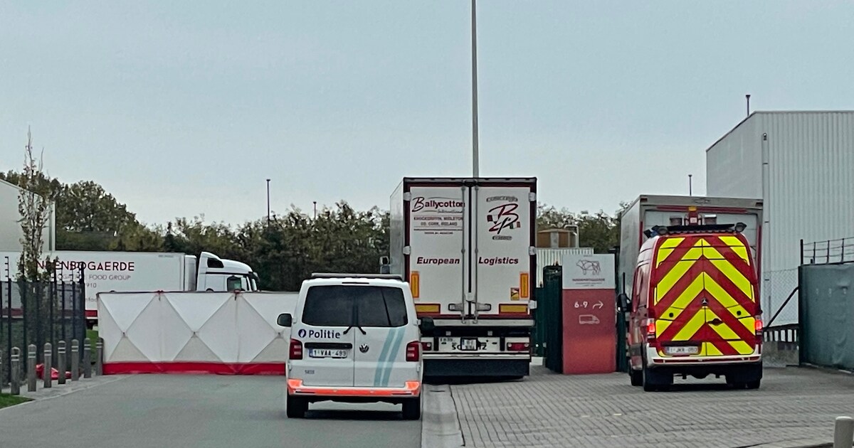 Ierse trucker sterft aan vrachtwagen op transportzone LAR in Rekkem ...