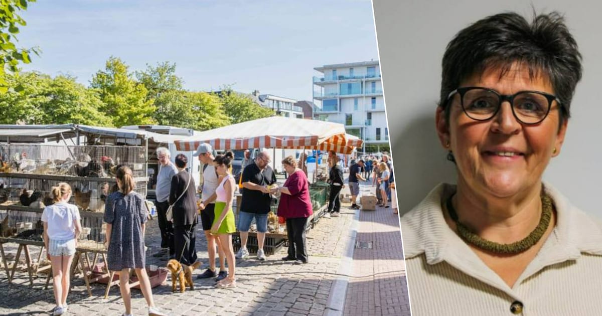Gemeentebestuur Mol neemt juridische stappen voor behoud van ...