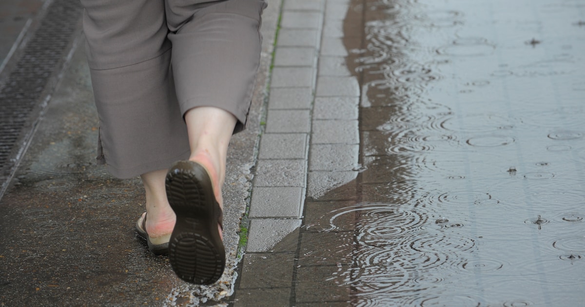 WEERBERICHT. Regen, regen en nog eens regen | Weer & Wetenschap | HLN.be