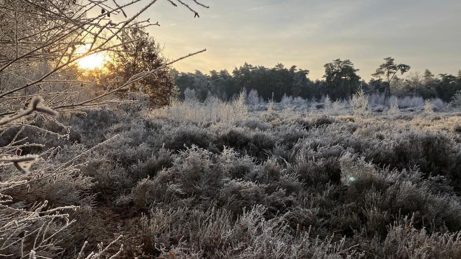 Wat te doen in Limburg dit weekend? Van een winterwandeling in Lummen ...