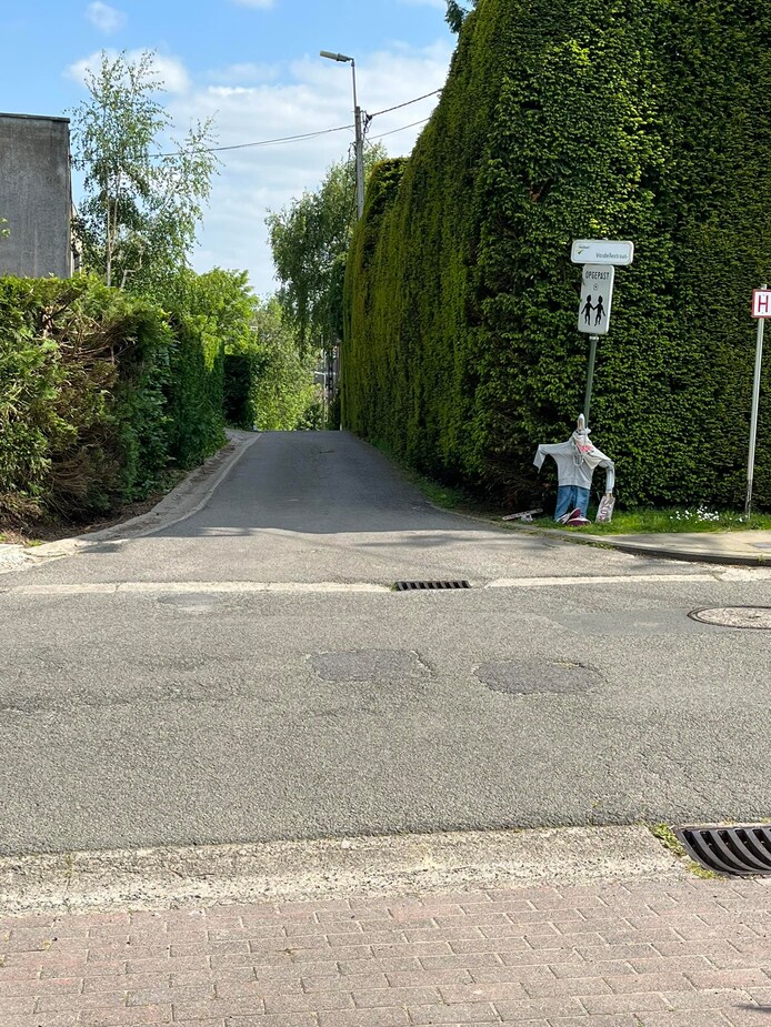 Vandalen vernielen zelfgemaakt Graag Traag-mannetje van Lauranne (9) en ...